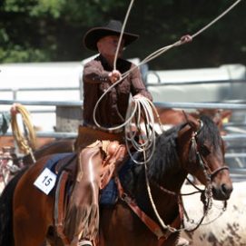 Ranch Roping Team – The Home of European Ranch Roping