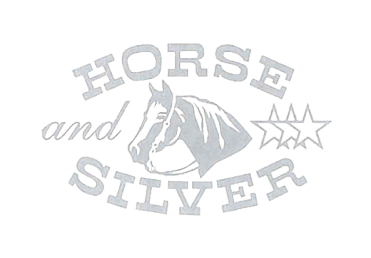 Ranch Roping Team – The Home of European Ranch Roping