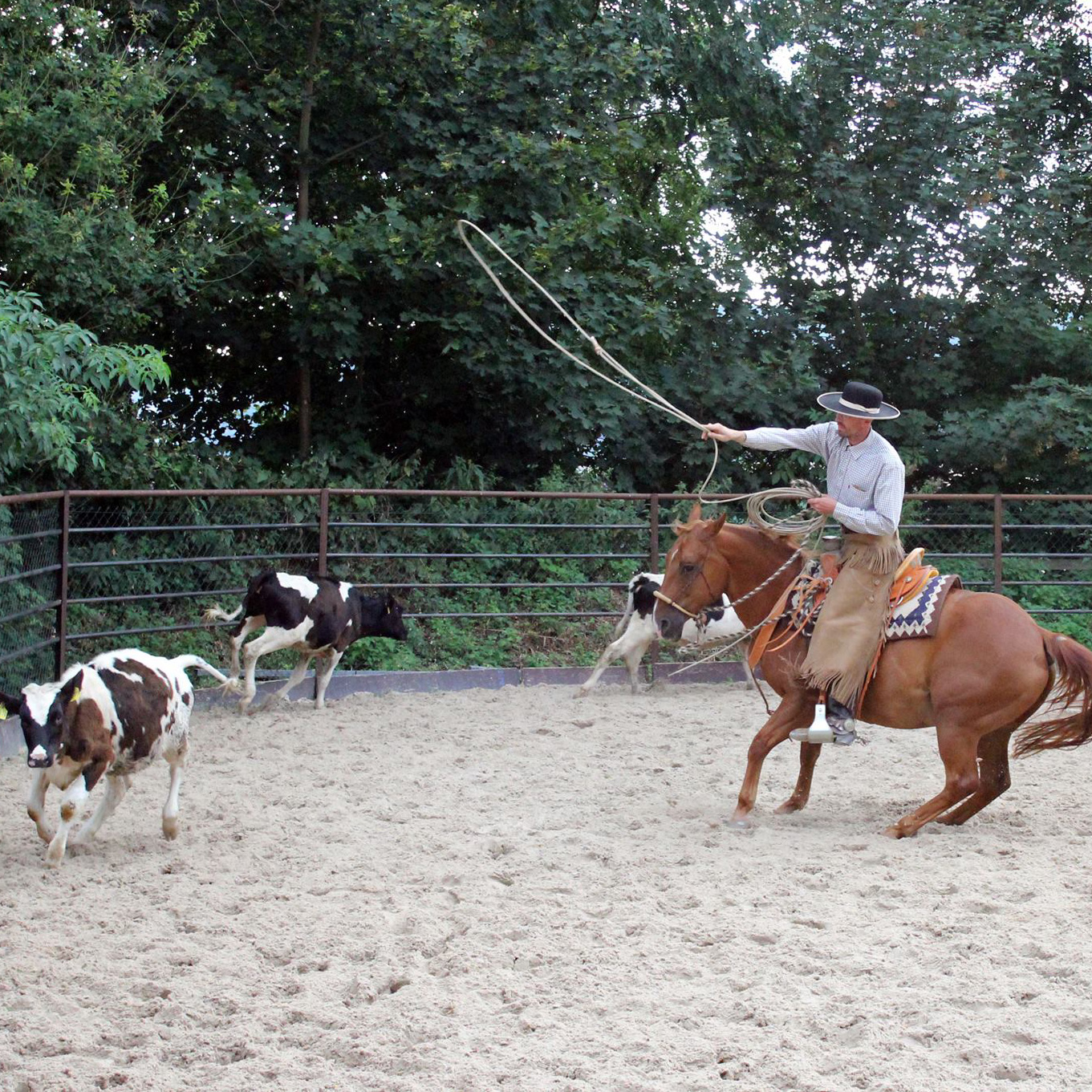 Ranch Roping Team – The Home of European Ranch Roping